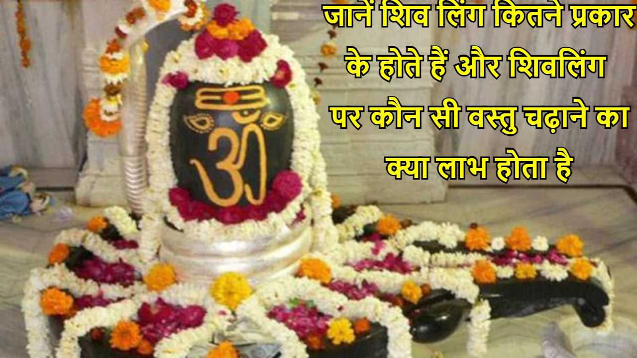 Know How Many Types Of Shiva Linga Are There And What Are The Benefits know-how-many-types-of-shiva-linga-are-there-and-what-are-the-benefits