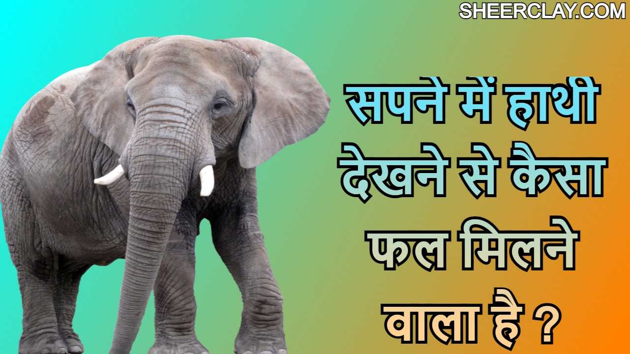 सपने में हाथी देखने से क्या फल मिलने वाला है,What is the result of ...