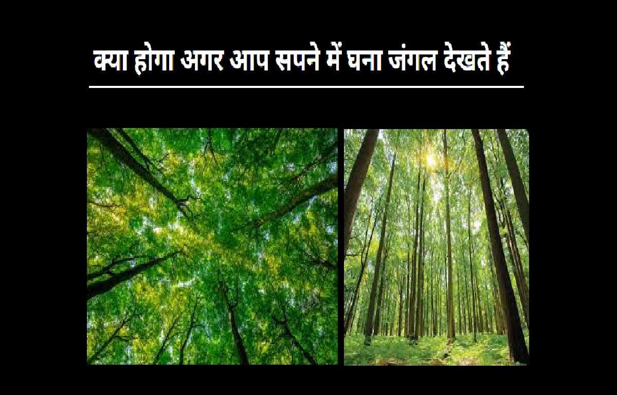 सपने में घना जंगल देखना - Sapne me jangal dekhna